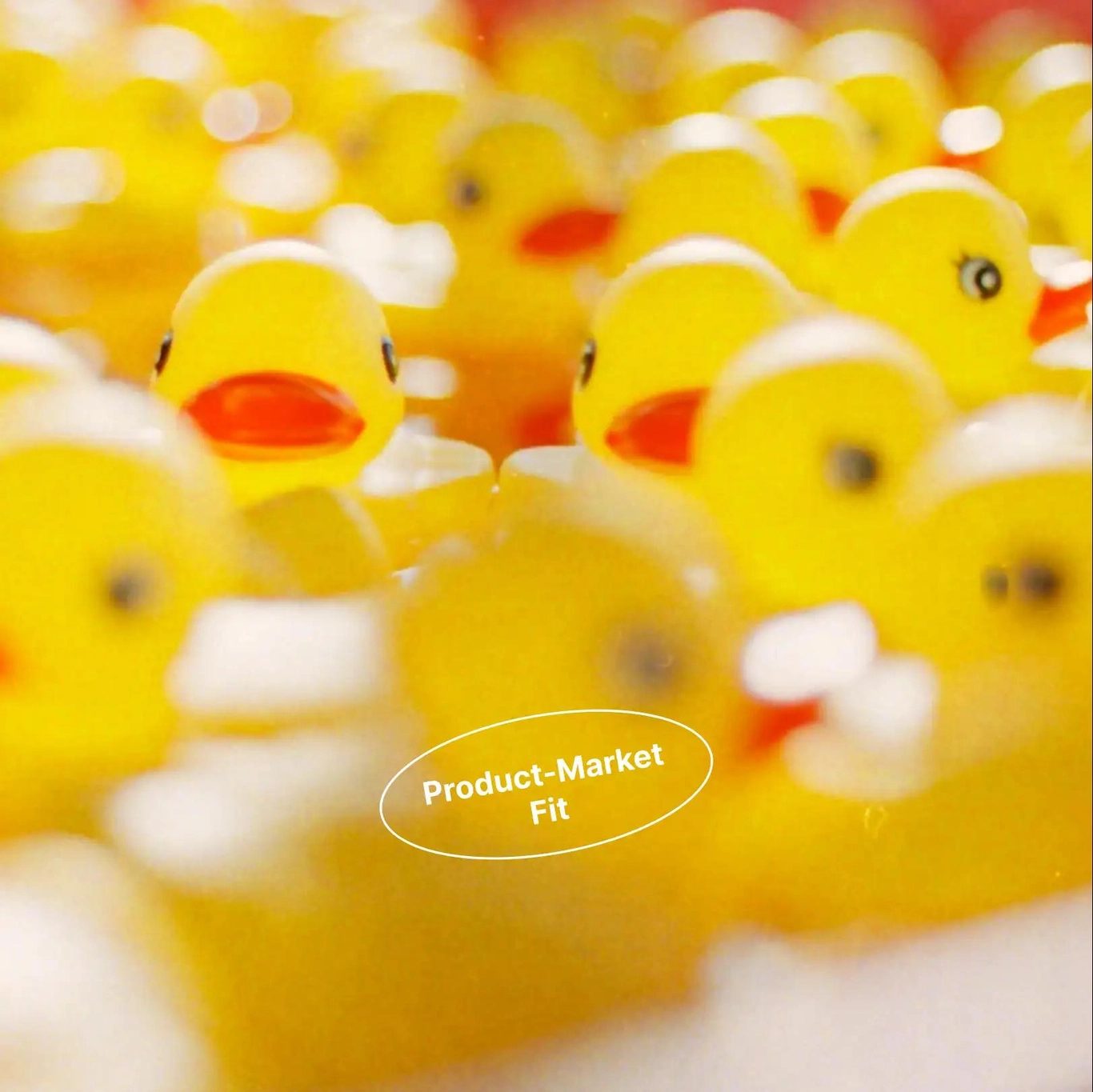 A Compherensive Digital Product Digest